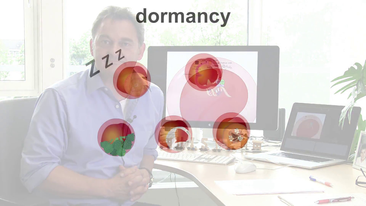 Awakening Stem Cells with Vitamins/Cell, May 4, 2017 (Vol. 169, Issue 5 ...