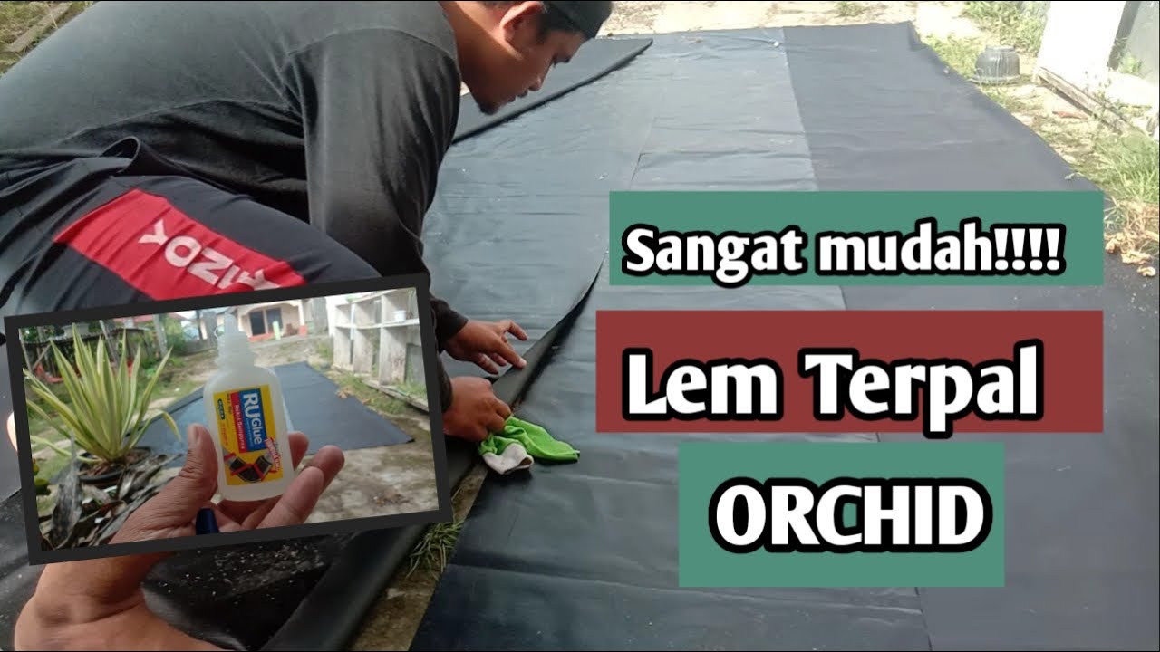 CARA MUDAH MENYAMBUNG TERPAL ORCHID DENGAN LEM//WPPERTANIAN - YouTube