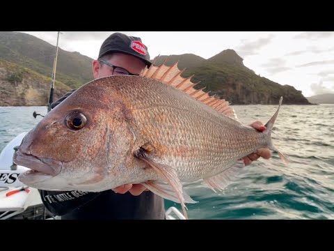 Straylining For Big New Zealand Snapper
