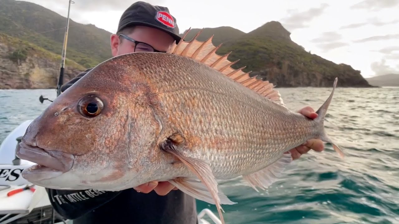 Straylining For Big New Zealand Snapper - YouTube