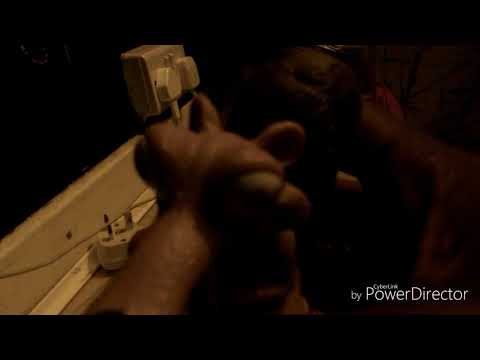 Ice Age (2002) TV Spot