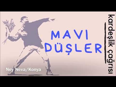 Mavi Düşler