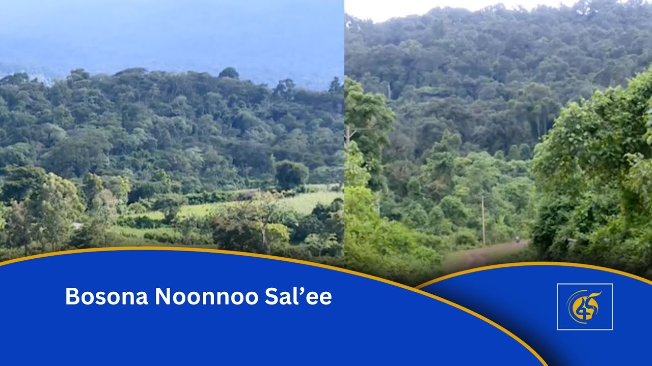 Bosona Noonnoo Sal’ee - YouTube