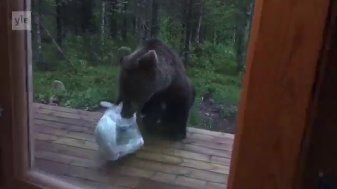 PERKELE SIIIHEN ET KOSKE SAATANA - YouTube