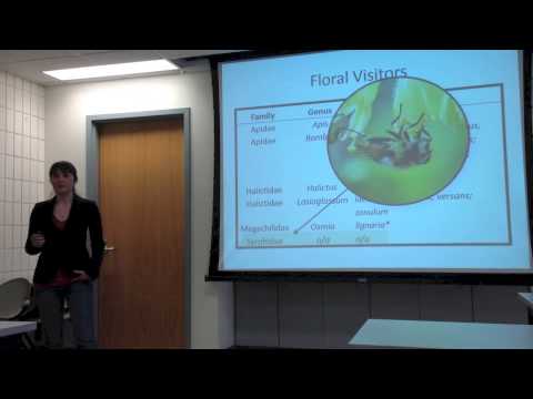 Haskap Pollination Danae Frier part 2 - YouTube