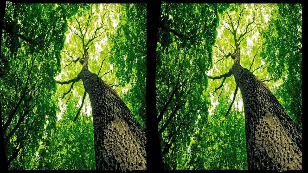 3D EXTREME EFFECTS COLLECTION #00 (TEST) VR Videos 3D SBS Google ...