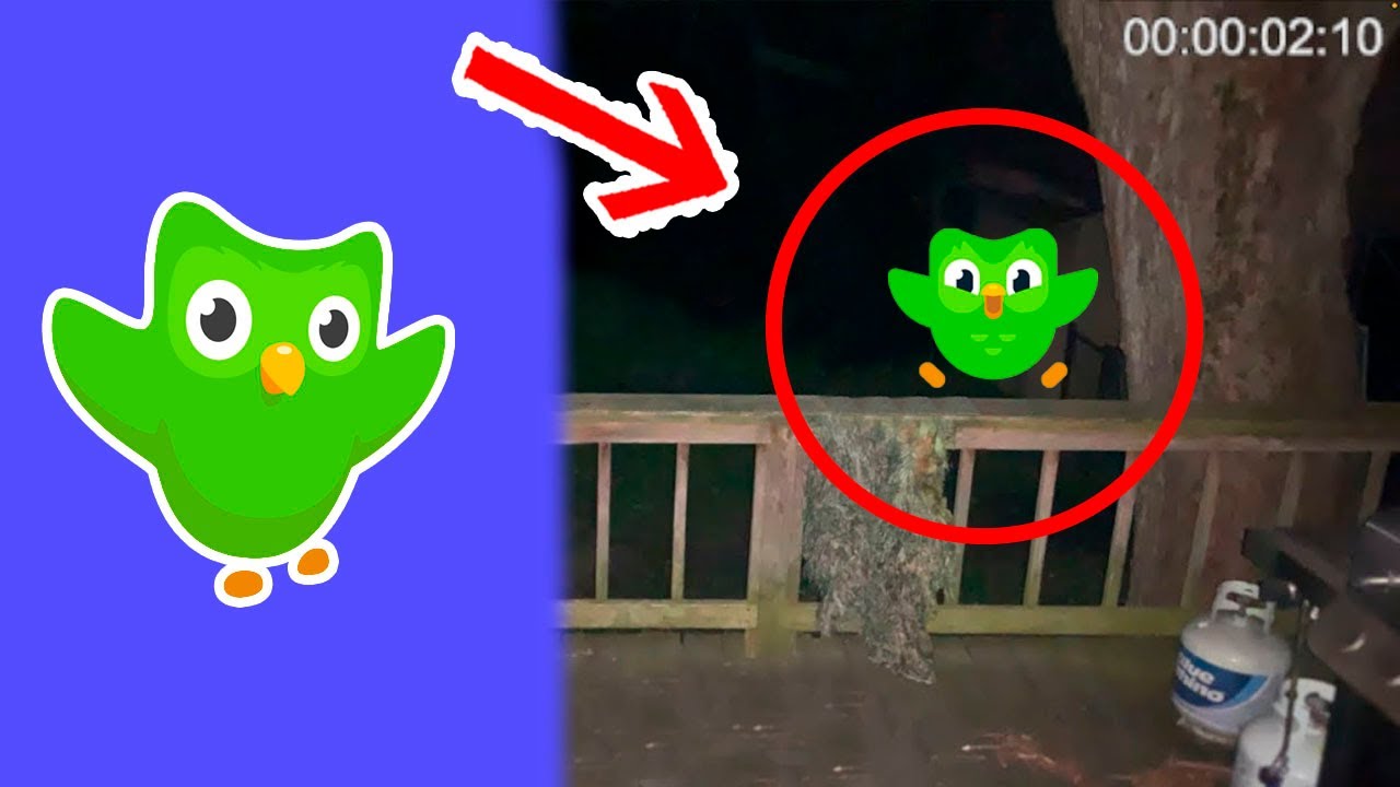 5 DUOLINGO Captados en Cámara en la Vida Real - YouTube