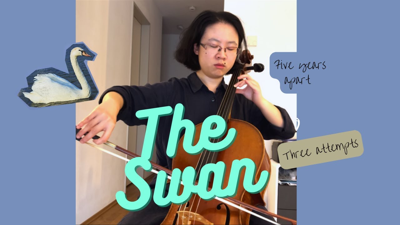The Swan - One Piece, Five Years (cello adult beginner progress) - YouTube