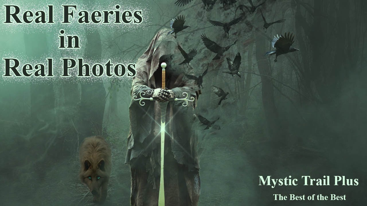 Real Faeries in Real Photos/The Best of the Best - YouTube
