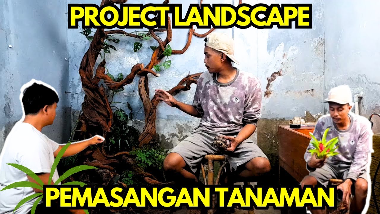 #2 PROJECT LANDSCAPE - PEMASANGAN TANAMAN - YouTube