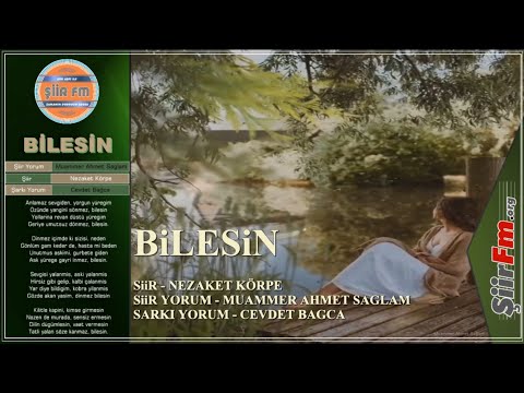 Bilesin - Cevdet Bağca