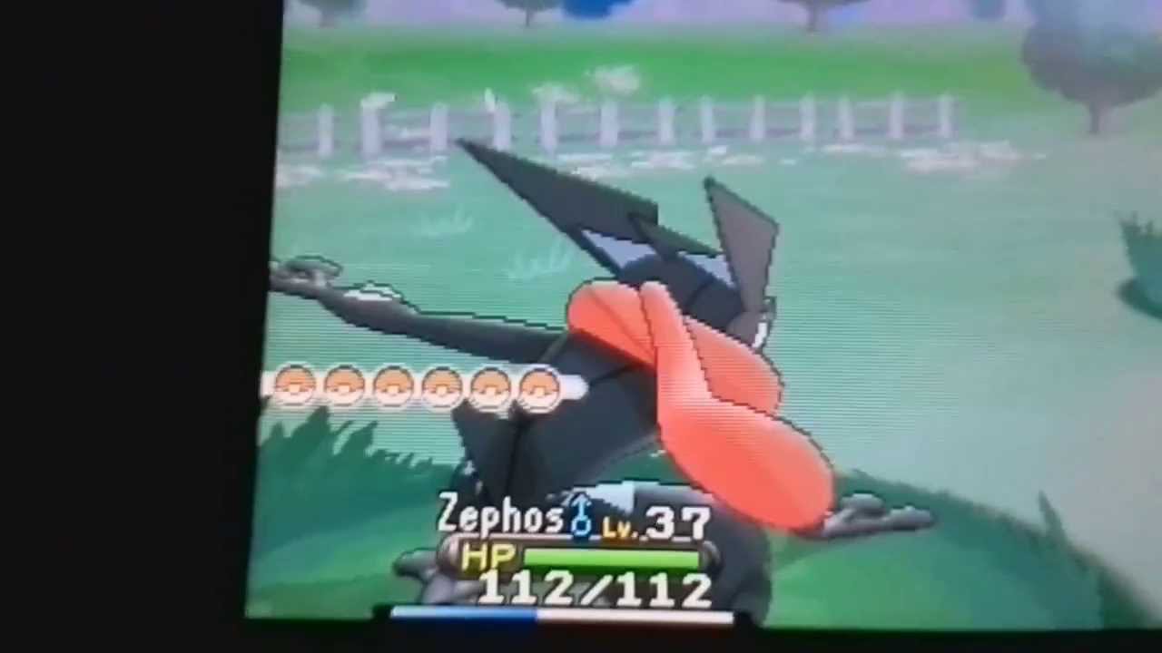 Shiny Froakie after 482 Eggs! + The entire Shiny Froakie Family ...