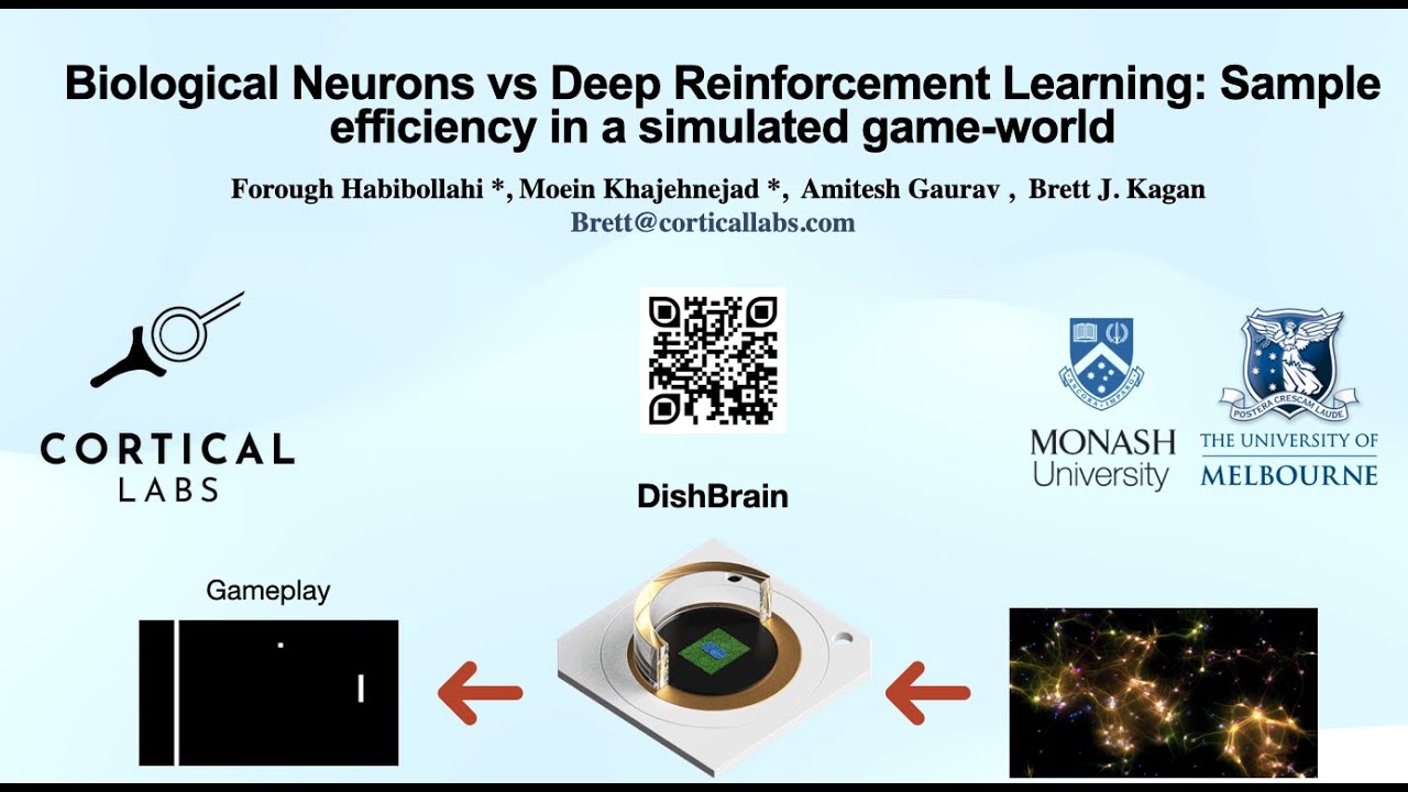 Biological Neurons vs. Deep Reinforcement Learning: Sample efficiency ...