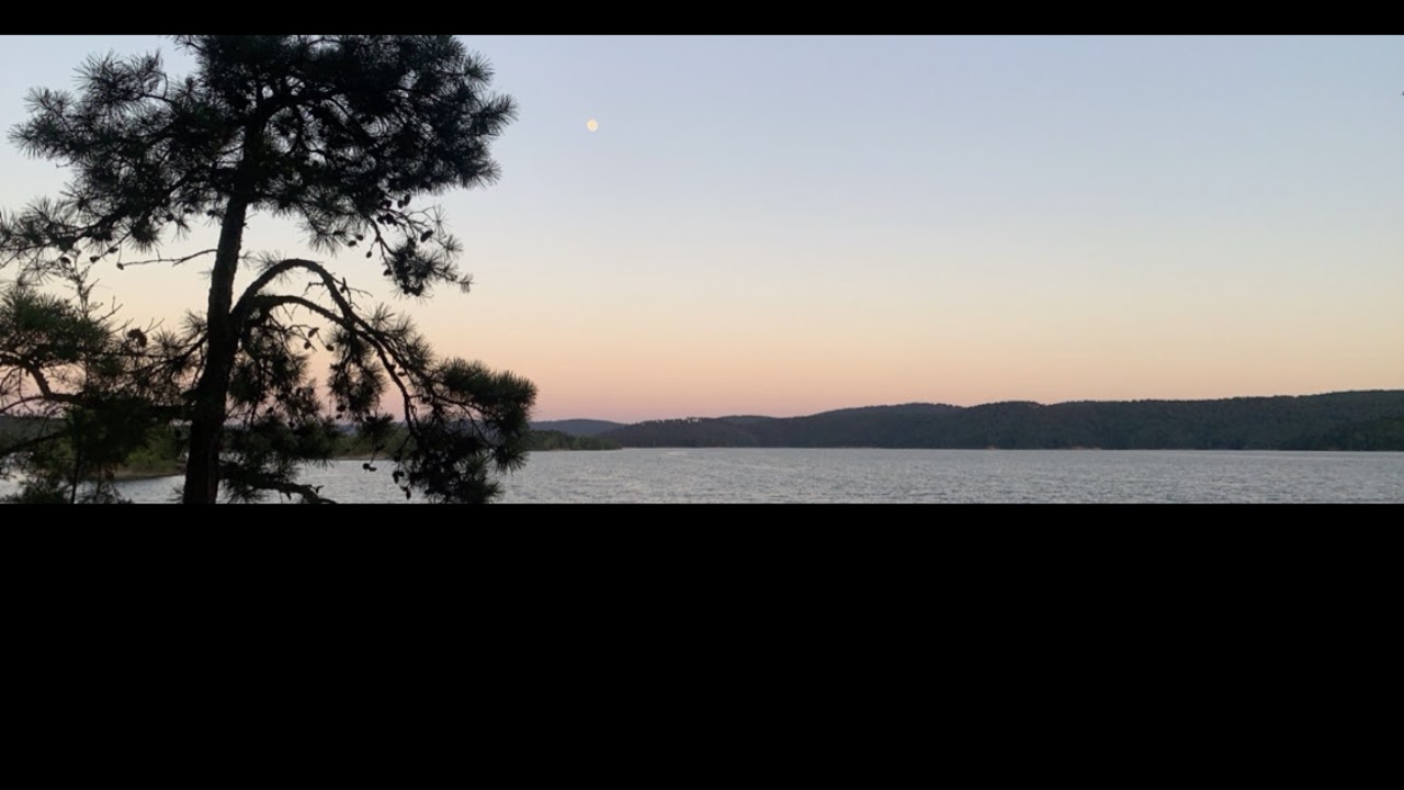 Simon Says Live Stream - YouTube