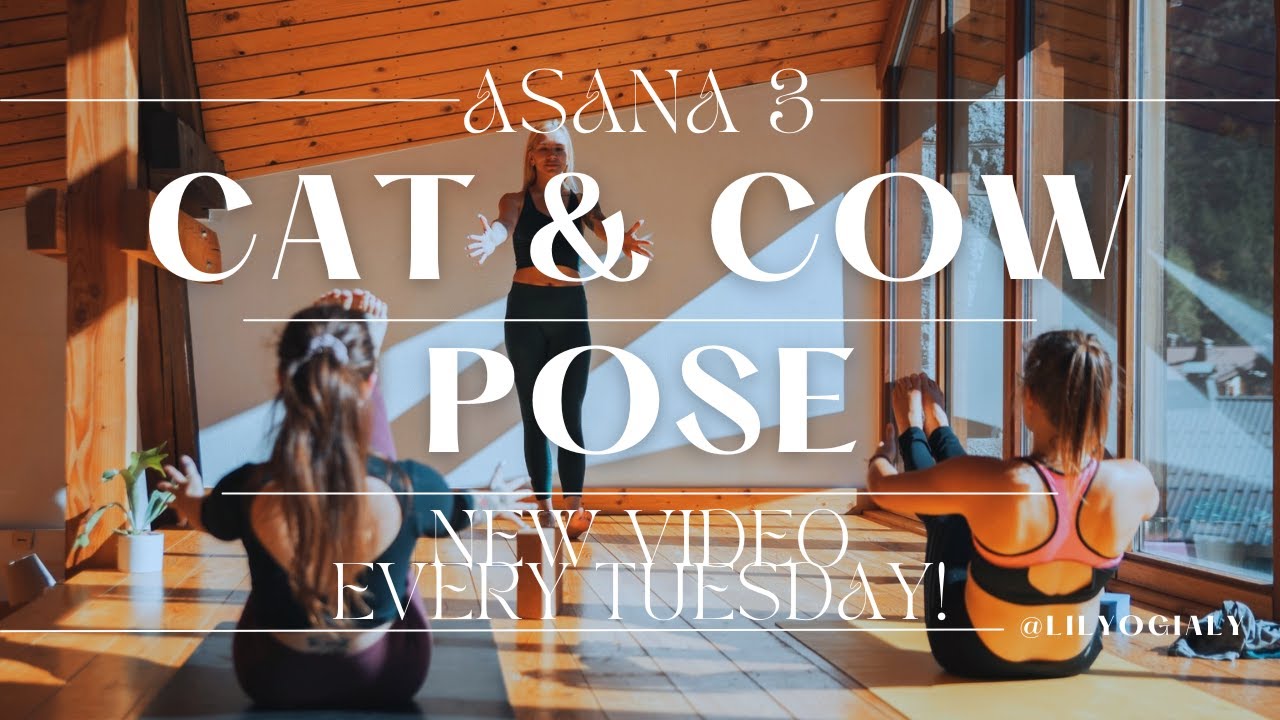 How to Marjaryasana/Bitilasana - Cat & Cow Yoga Pose/Asana - YouTube