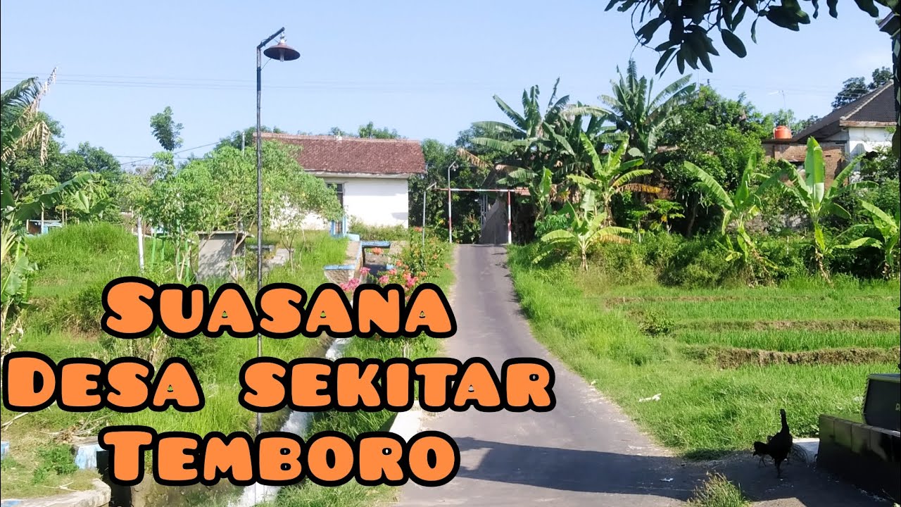 suasana desa Magetan sekitar temboro - YouTube