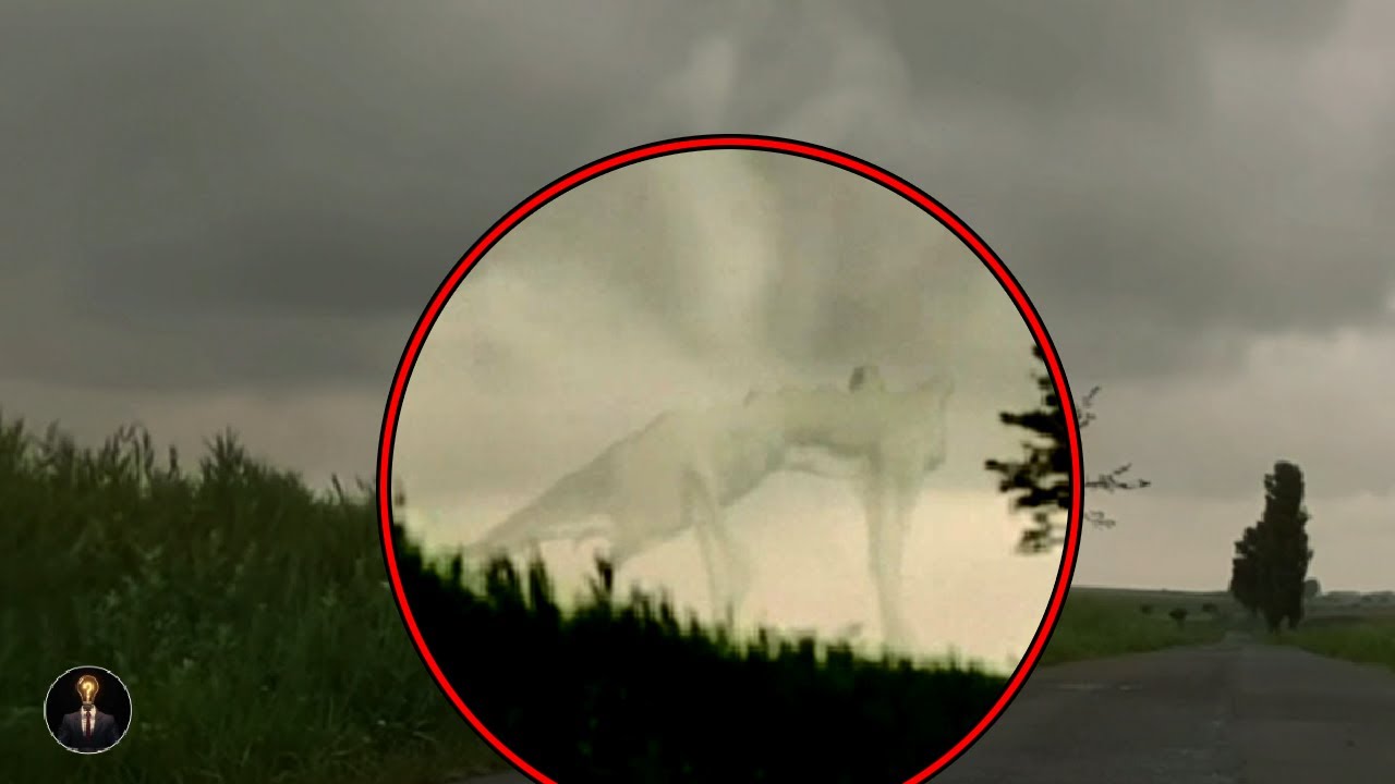 STAY INDOORS ⚠️ Day 18 - The Wandering Doom Approaches... February 17 ...