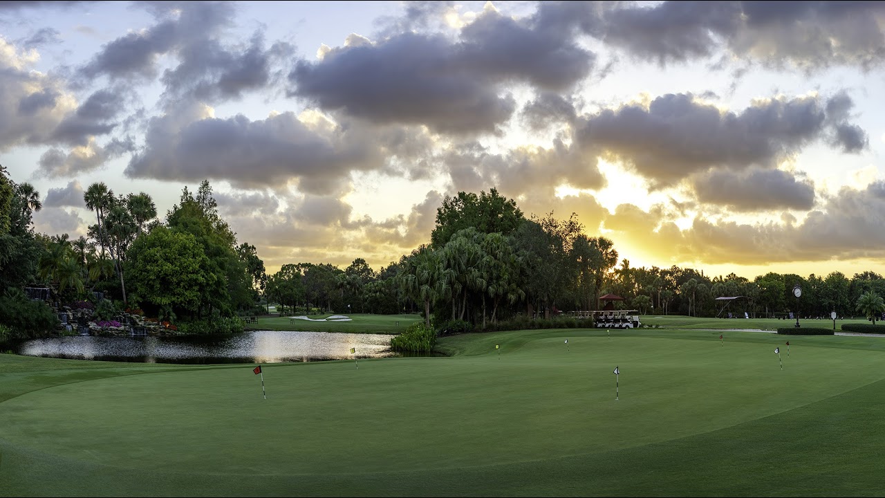 Addison Reserve - YouTube