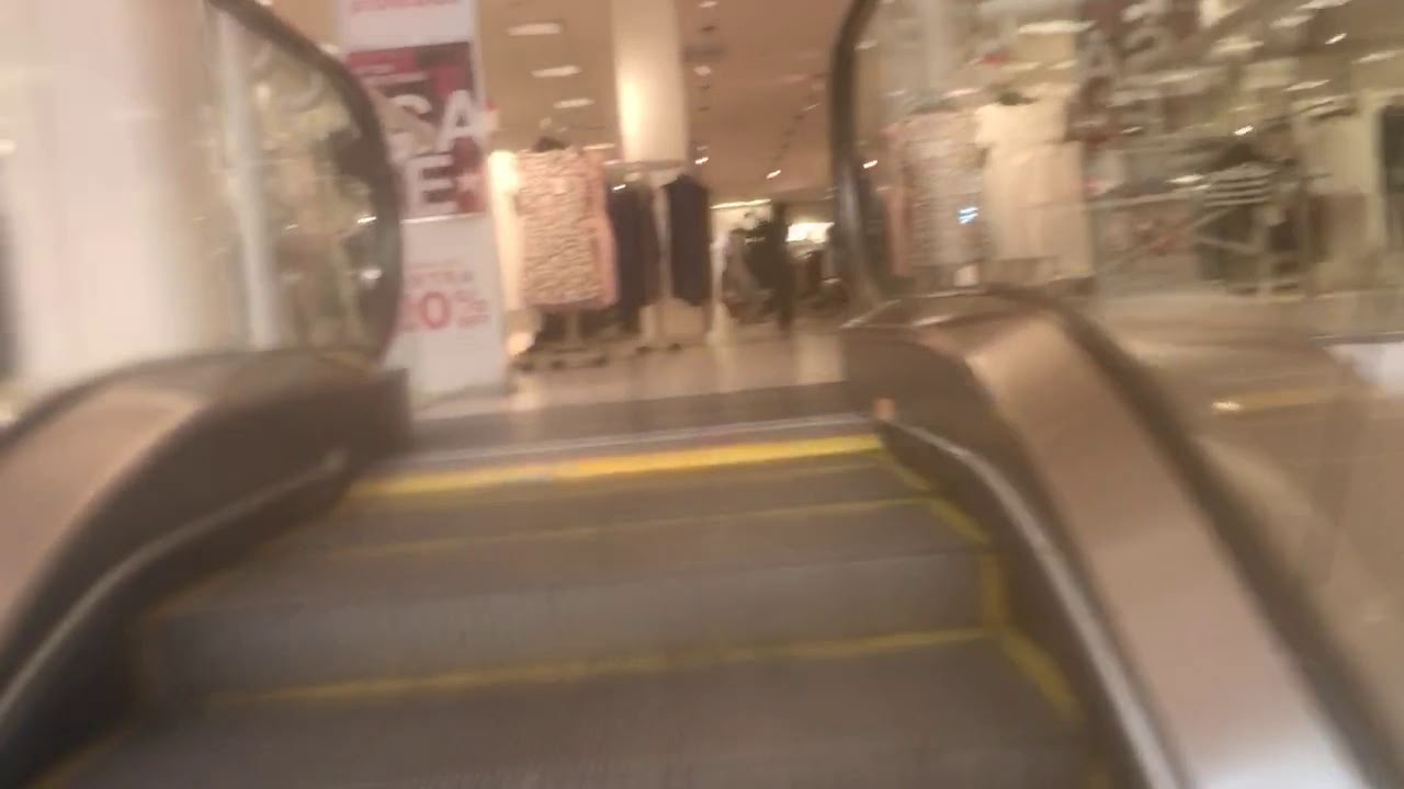 Schindler escalators @ Macy’s-Westfield Brandon (Brandon, FL) - YouTube