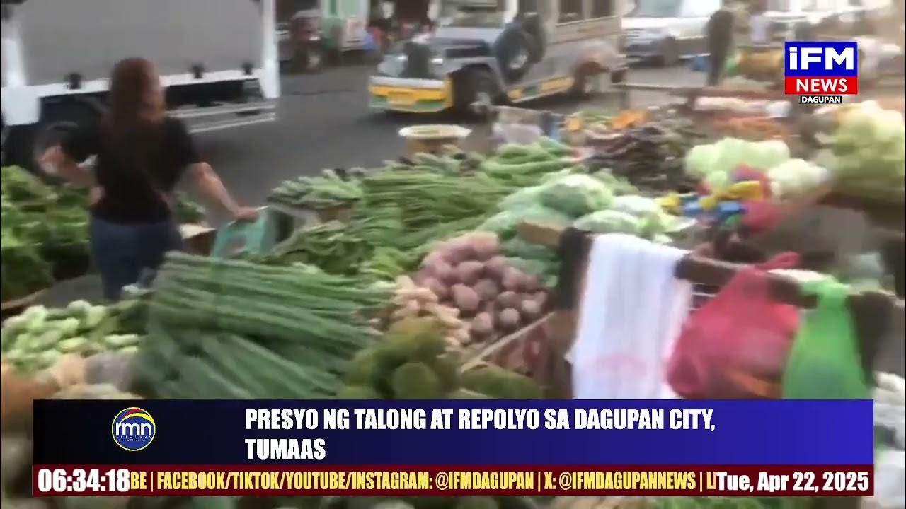 PRESYO NG TALONG AT REPOLYO SA DAGUPAN CITY, TUMAAS - YouTube