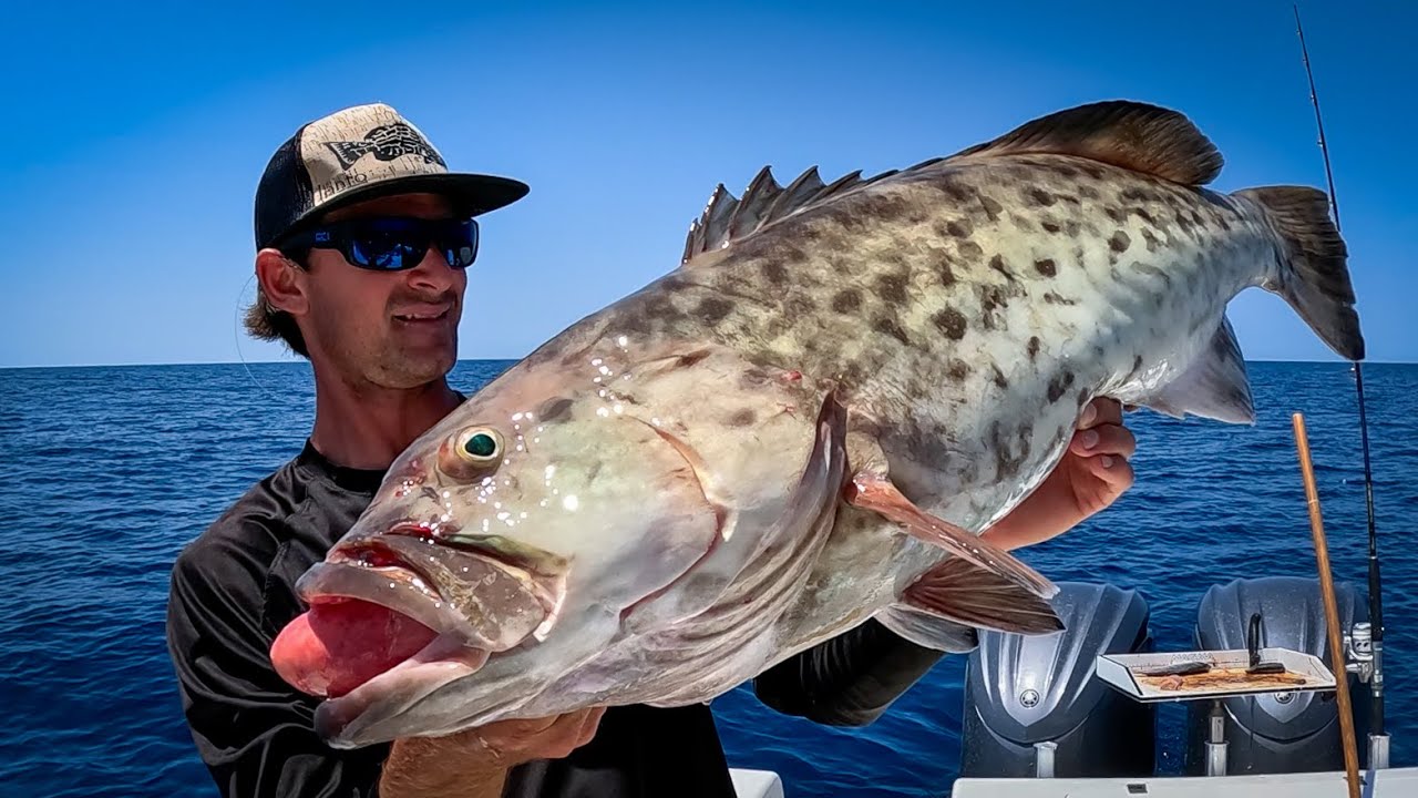 Non-Stop Action Chicken Rig Fishing - YouTube