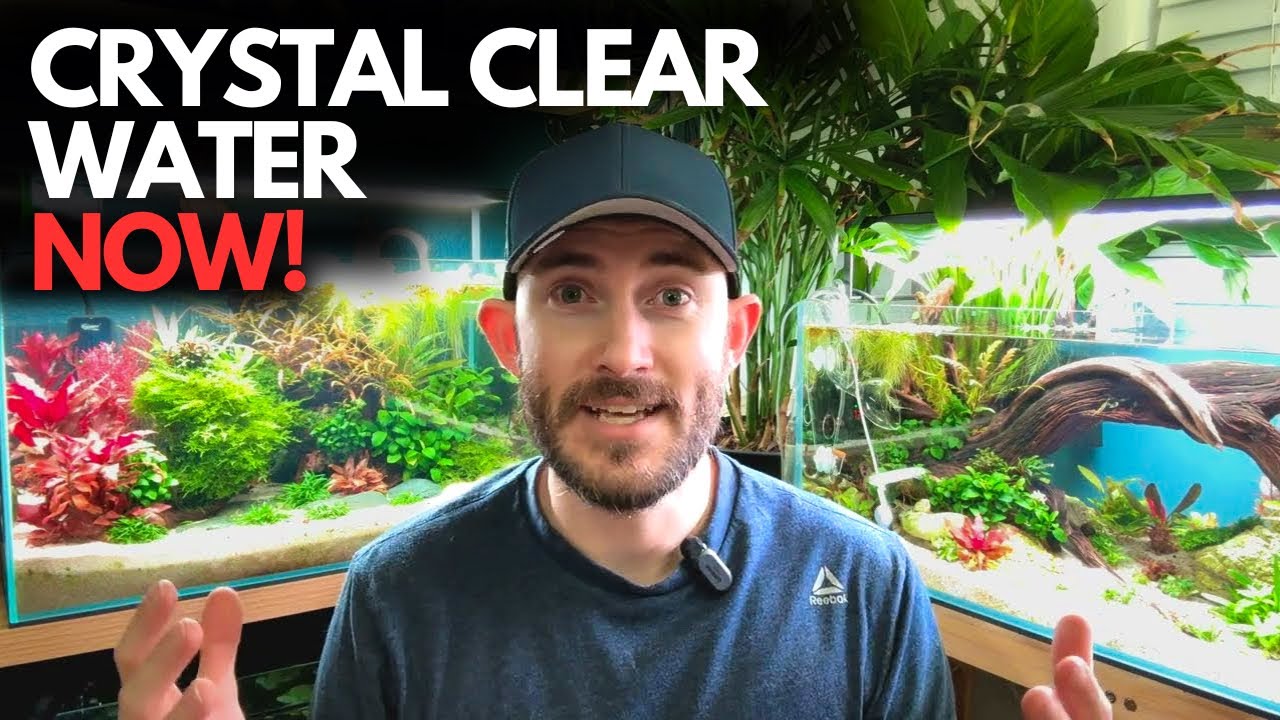 Tips To Getting Crystal Clear Aquarium Water! – YLEAV