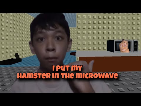 I put my Hamster in the Microwave... - YouTube