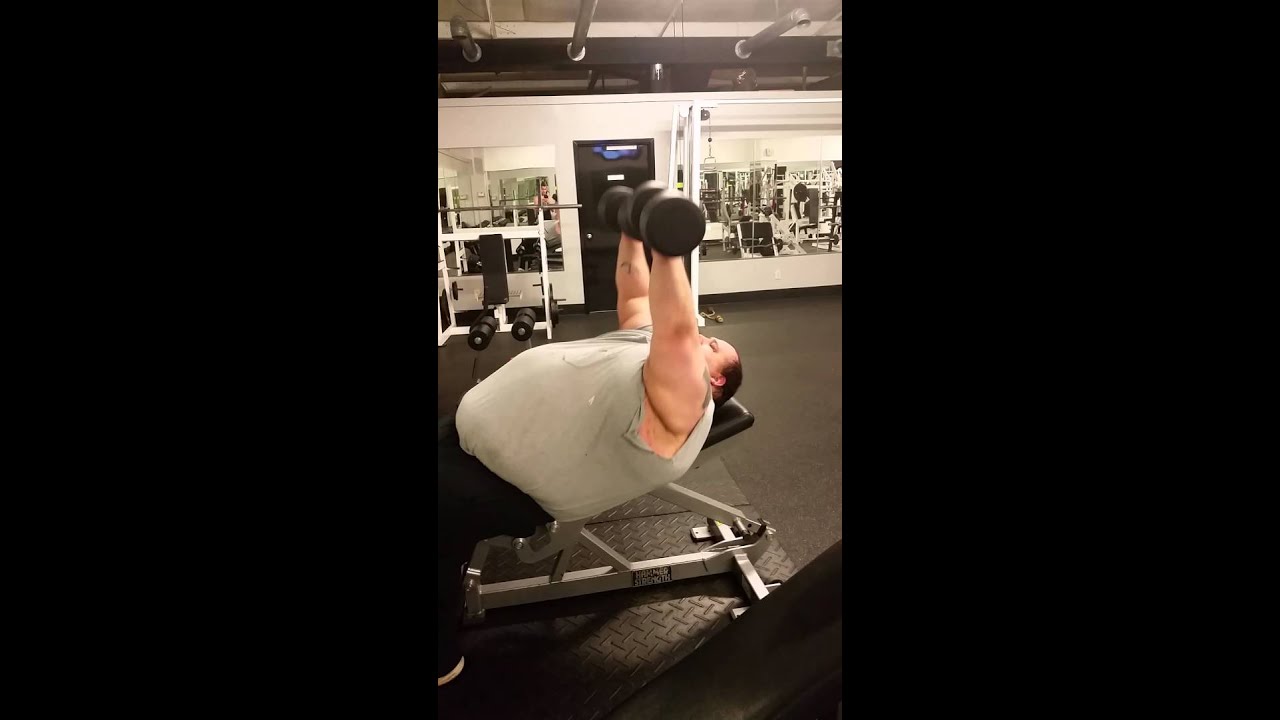Body beast chest and triceps up to 55lbs - YouTube