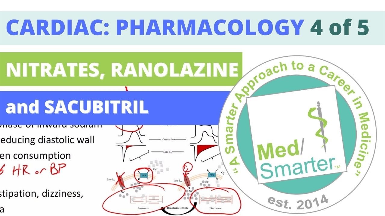 USMLE Step 1 | Cardiac Pharmacology | Nitrates, ETC | Part 4 - YouTube