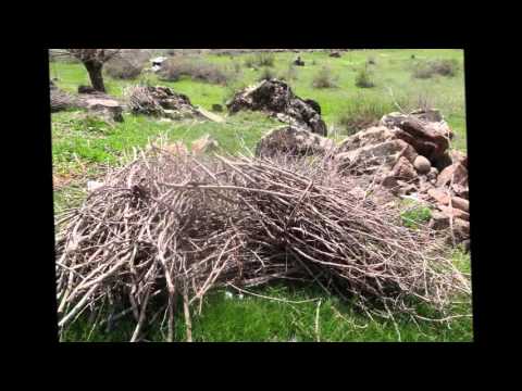 TUNCELI...karakocan/Gome koyu 2013..!!