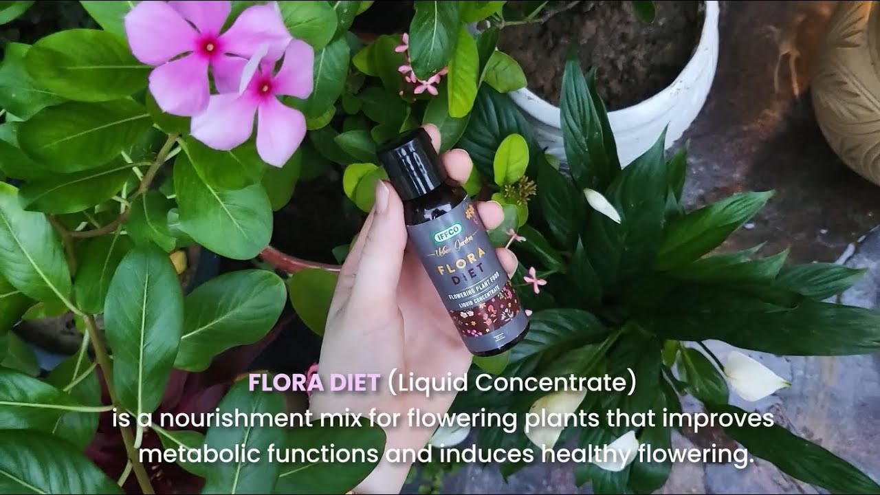 Introducing Flora Diet(Liquid Concentrate) for Healthy Flowering! - YouTube
