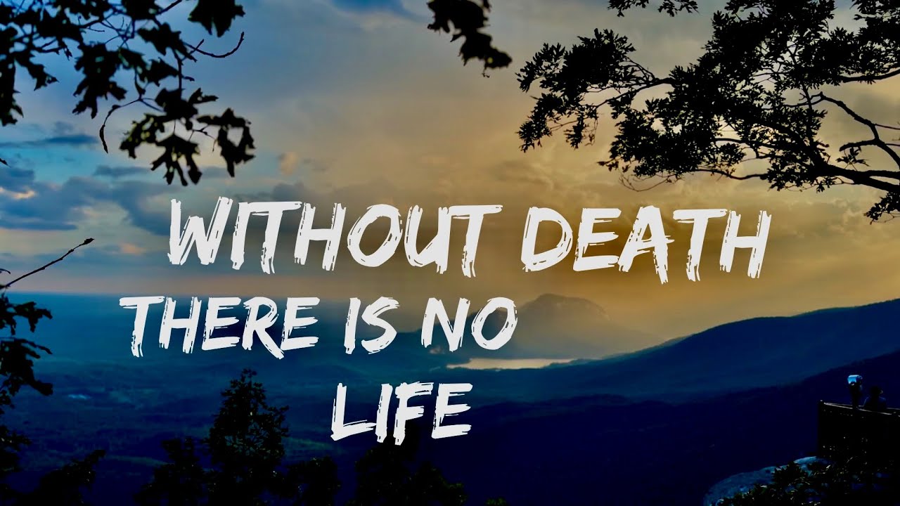 Without death, there is no life! - YouTube