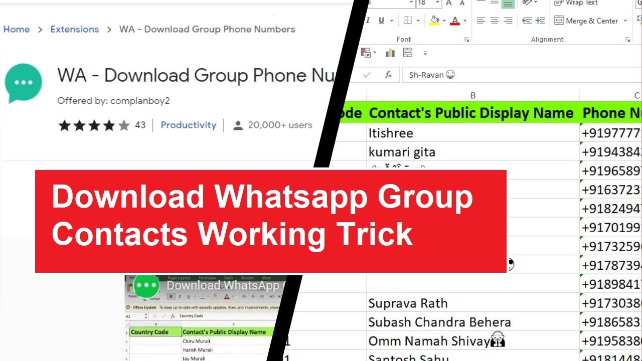 How Can i Export Whatsapp Group Phone Numbers | Download Whatsapp Group ...
