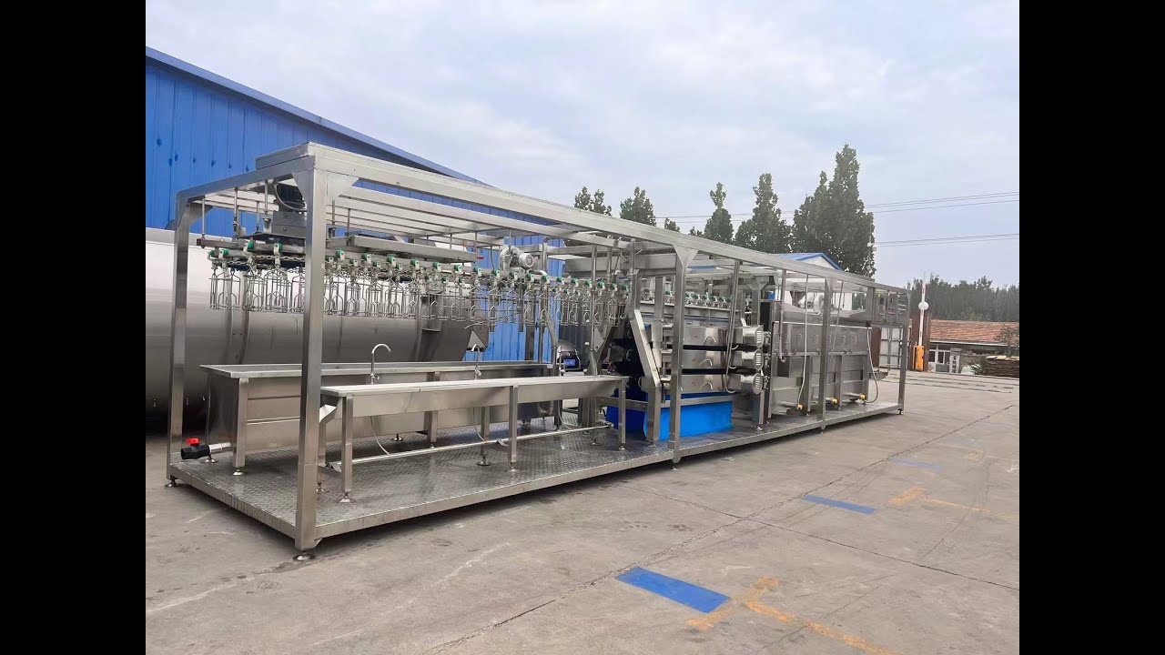 auto chicken slaughtering line compact type - YouTube