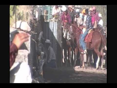 MELCHOR OCAMPO DURANGO COLEADERAS PT2 - YouTube