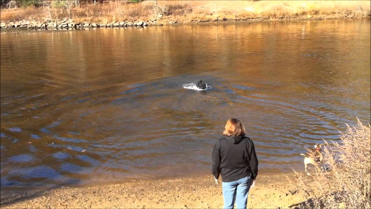 Machimoodus State Park - YouTube