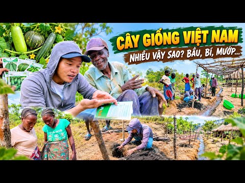 Hùng Kaka II Những Hạt Giống Vượt Hàng Vạn Km - Người Dân Không Thể Ngừng Xúc Động.