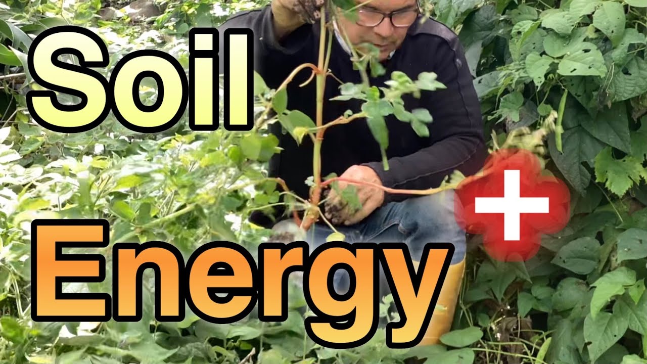 Is soil self sufficiency attainable using only the energy of your own ...