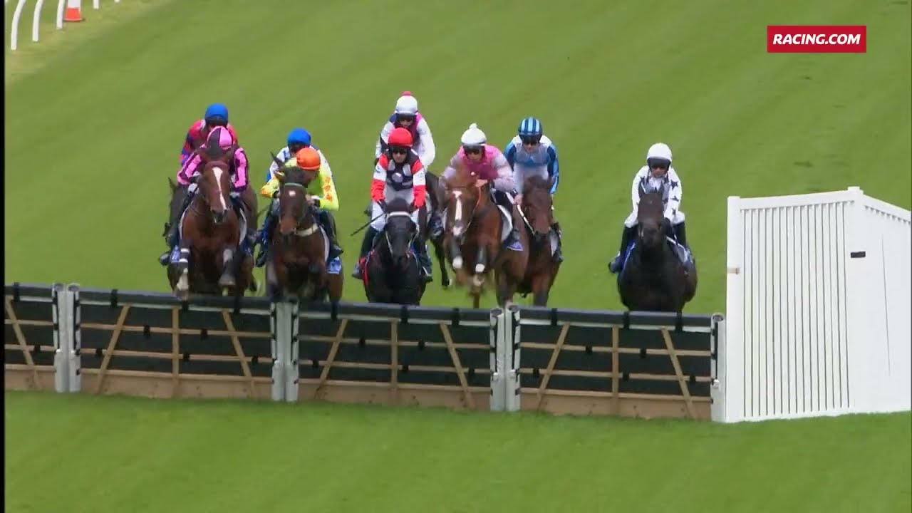 One Fit Hurdles Demonstration for Trainers in 2022 - YouTube