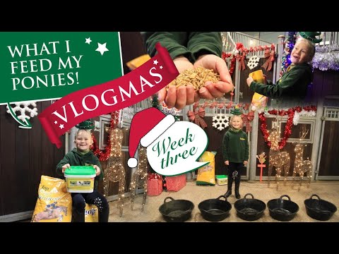 What I feed my ponies - Vlogmas Week 3