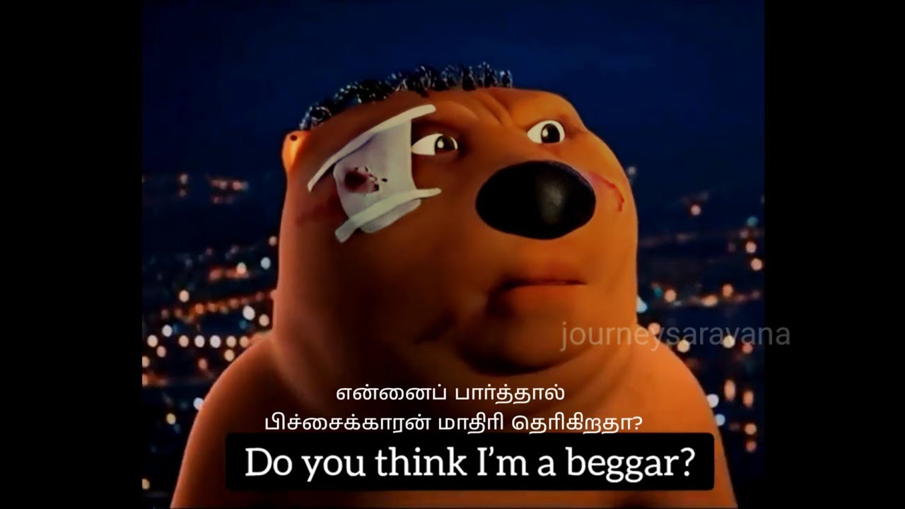 What Does the Viral “Chinese Beaver” Meme Say? #translation #english # ...
