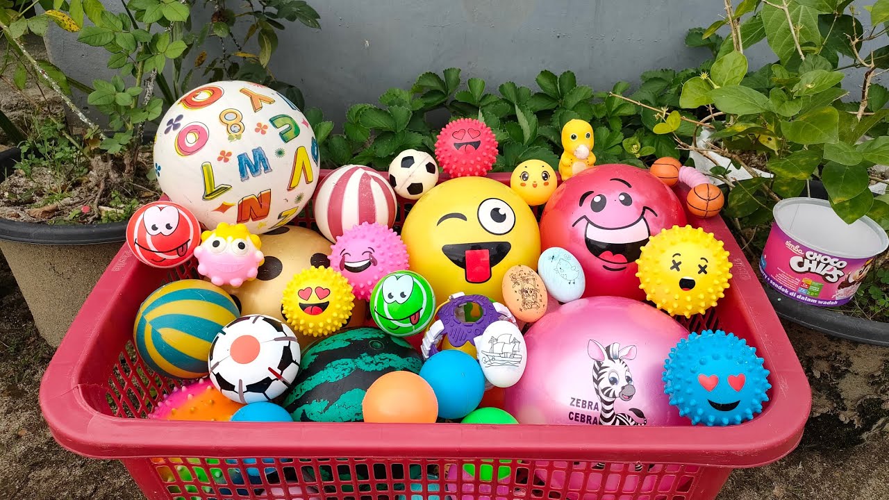 Mencari Bola Basket, Bola Karakter, Bola Kecil, Bola Warna-warni, dan ...