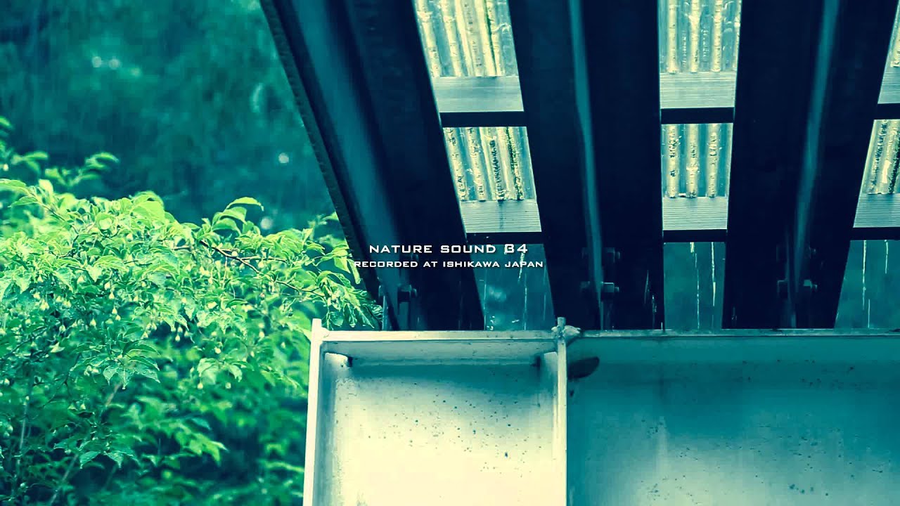 Nature Sound 34 - ONE HOUR RAIN SOUND / THE MOST RELAXING SOUNDS ...