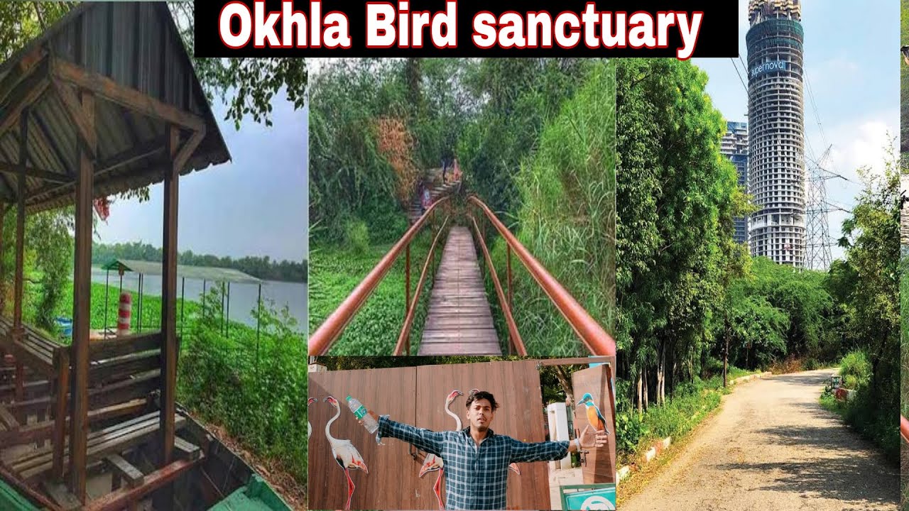 Okhla Bird sanctuary - YouTube