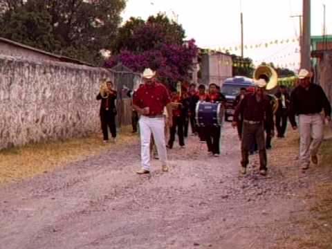 EL SAUZ GUANAJUATO - YouTube