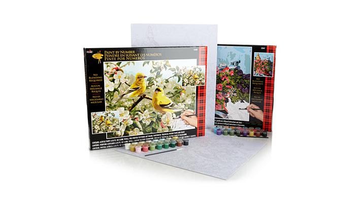 Plaid Paint by Number Set 2pack Birds - YouTube