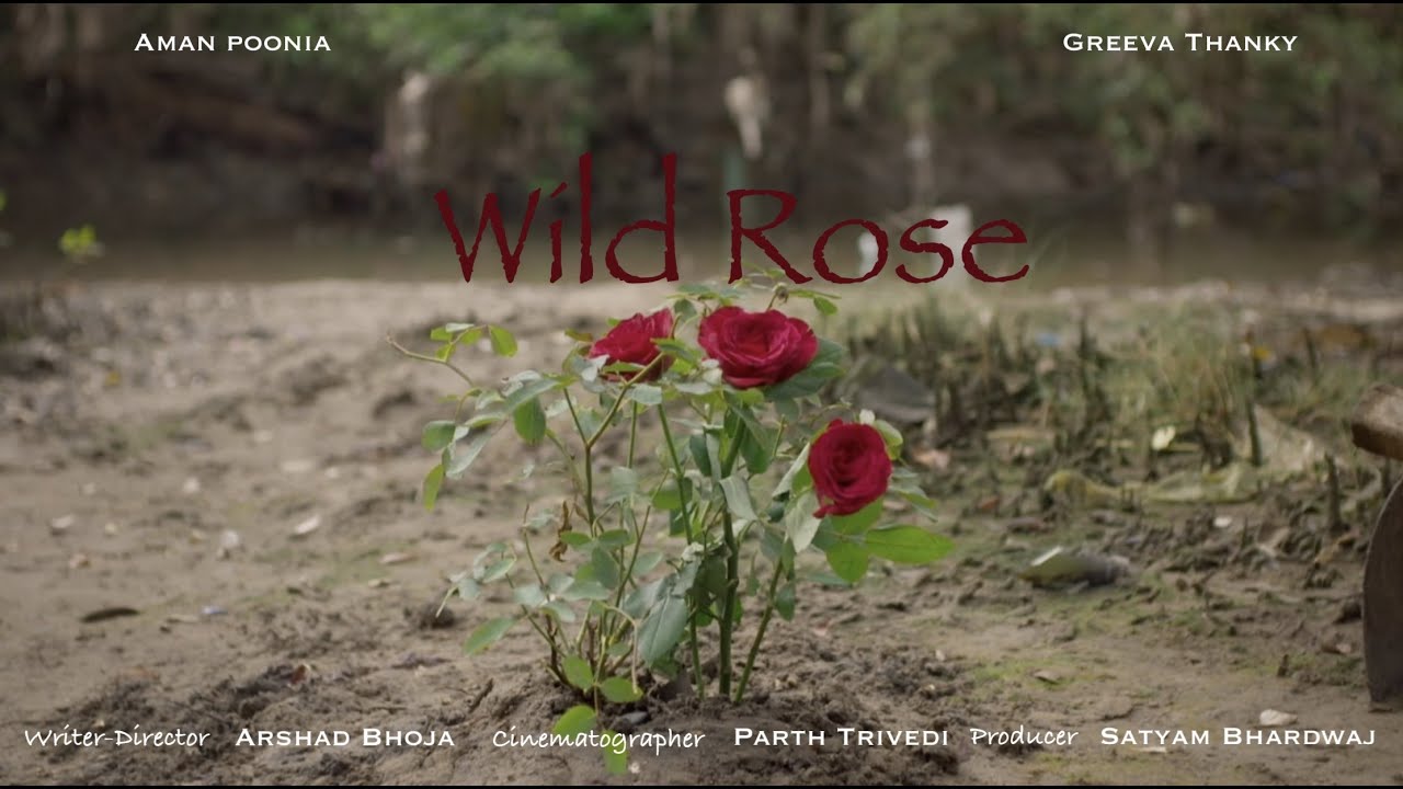 Wild Rose | short film - YouTube