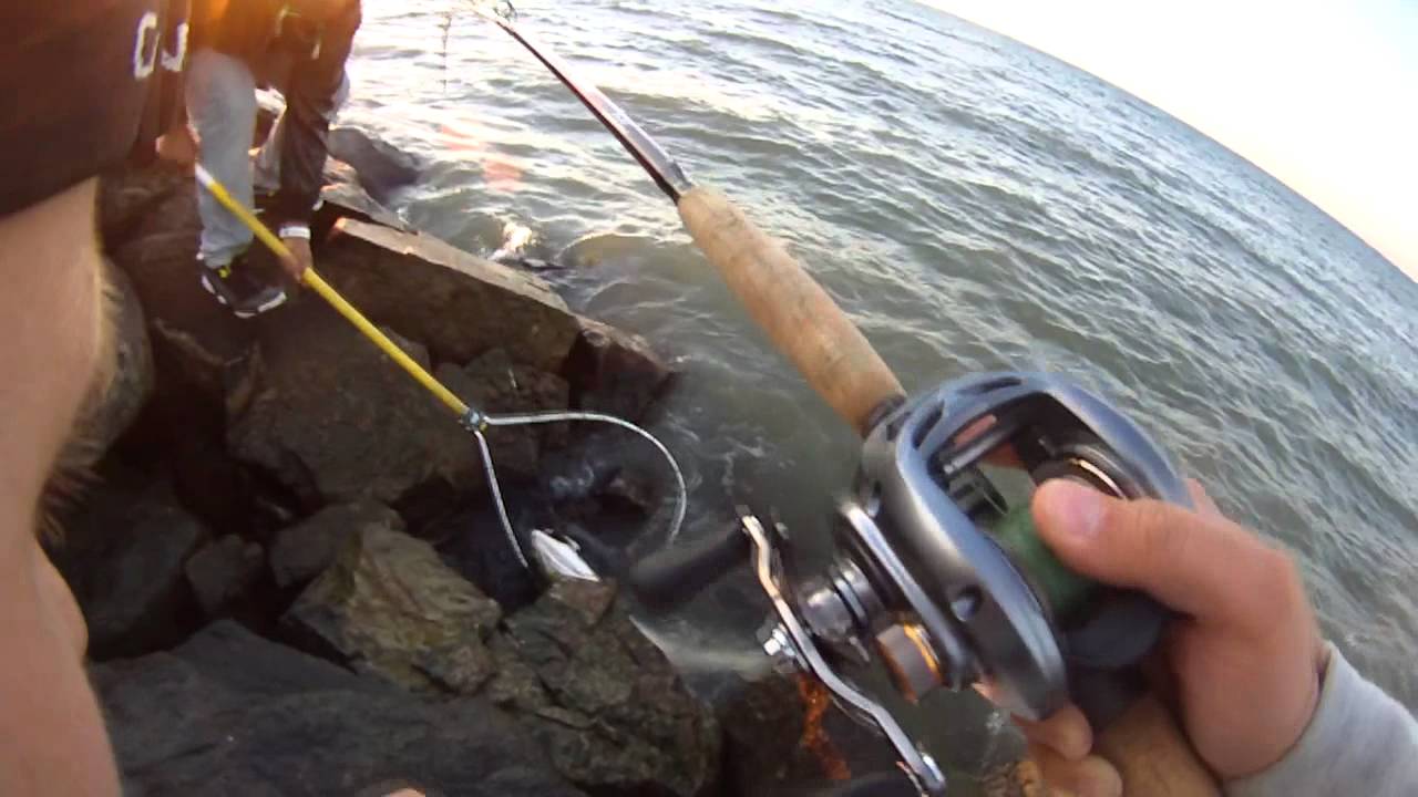 Giant 47 inch Belle River Muskie - YouTube