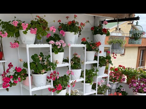 YARIN BAYRAM! |Arife Gününde Dualarda Buluşalım |