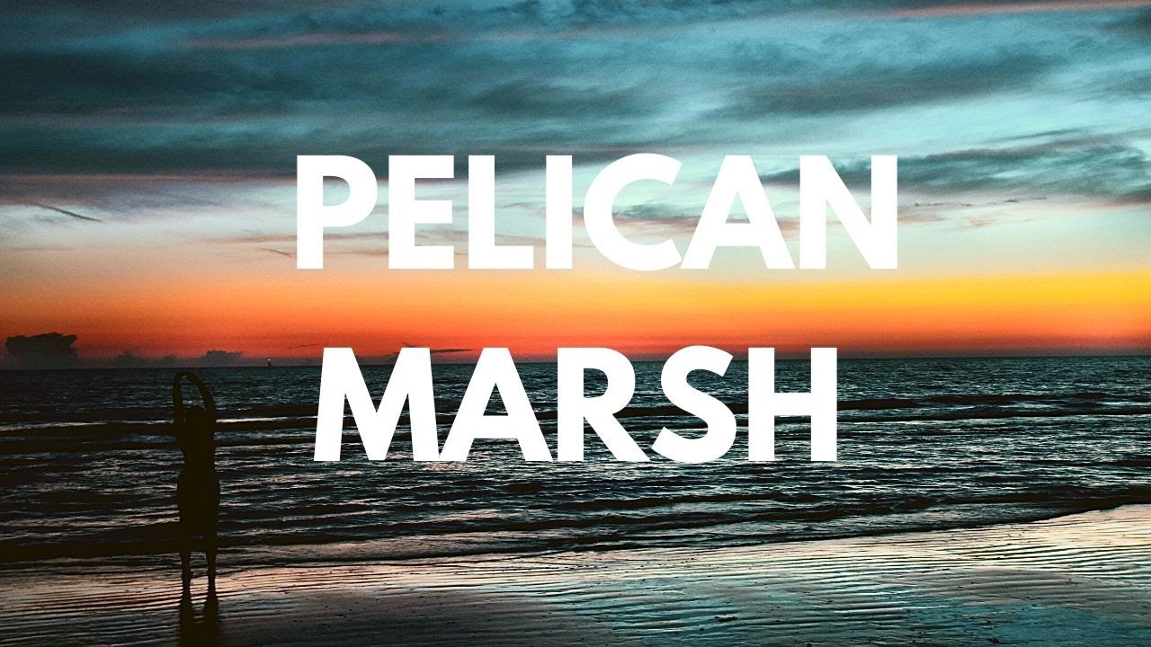Pelican Marsh| Perfect Place to call home in Naples Florida - YouTube